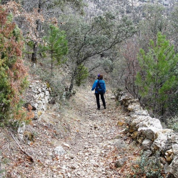 Grandes recorridos - Silent Route